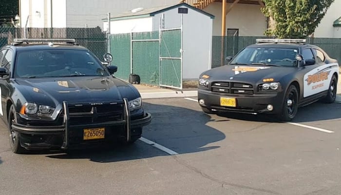 Acusado de assassinato brutal: Homem mata e decapita pais idosos e ...